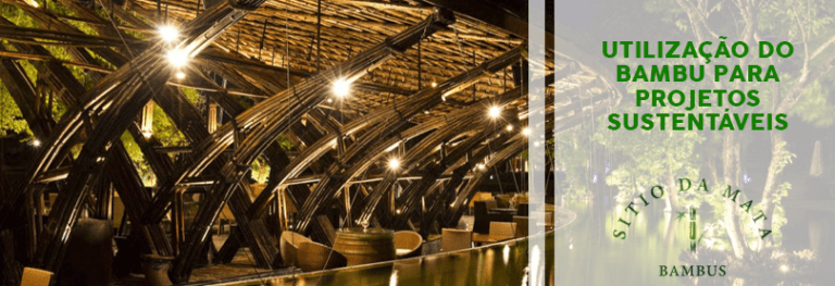 Utilização do Bambu Para Projetos Sustentáveis | Sítio da Mata