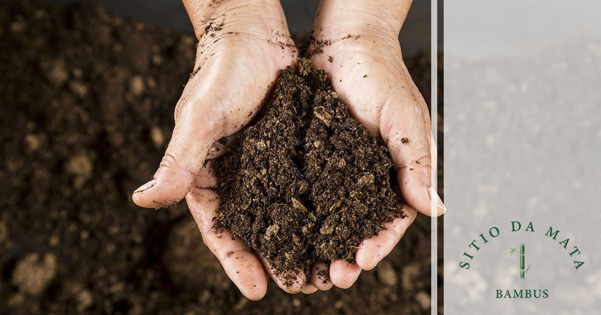 Como Adubar Plantas? Veja as Melhores Dicas! I Sitio da Mata