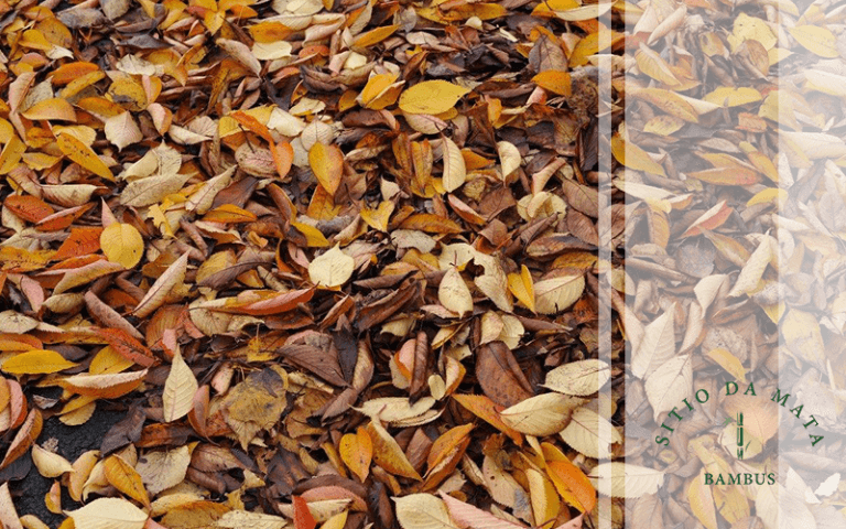 Como Fazer Compostagem com Folhas Secas I Sitio da Mata